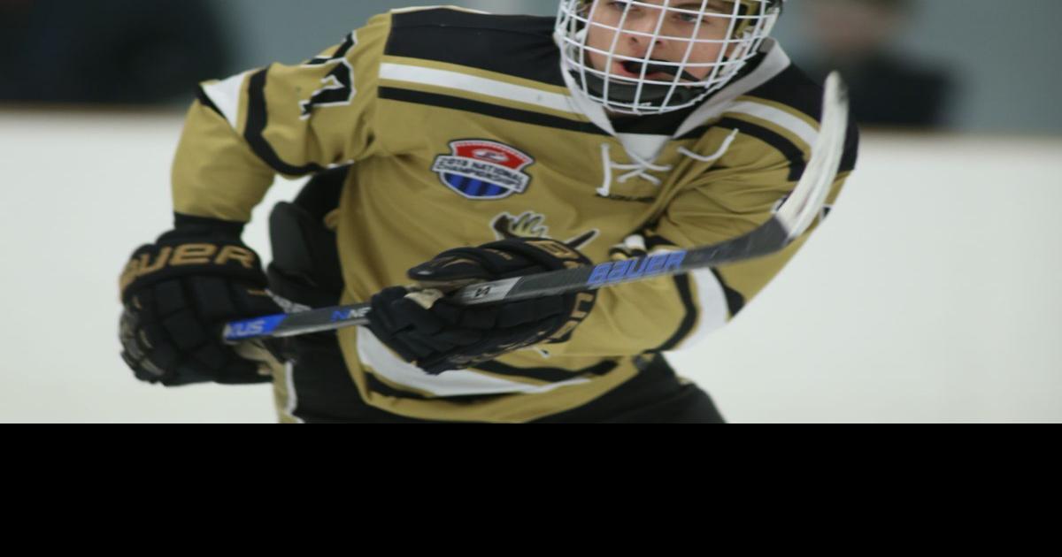 Suspension of interstate youth hockey extended through March | Sports ...
