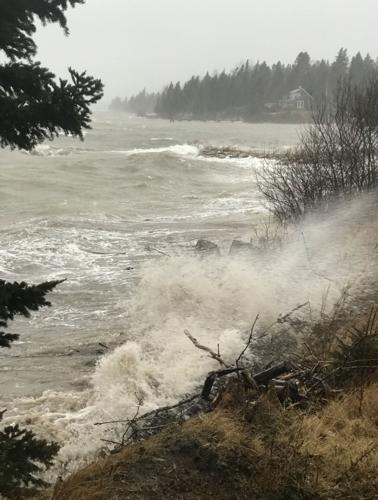 Thar she blows again | News | ellsworthamerican.com