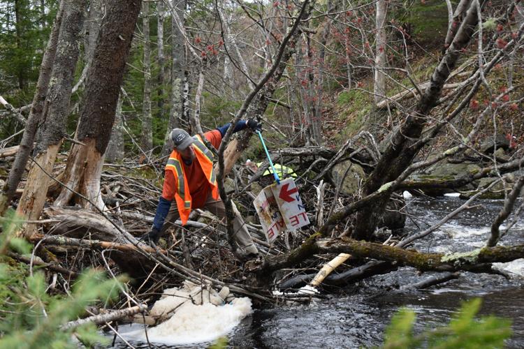 Volunteers clean up Card Brook | News | ellsworthamerican.com