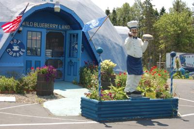 Maine’s famed fruit focus of new museum | Arts & Living ...
