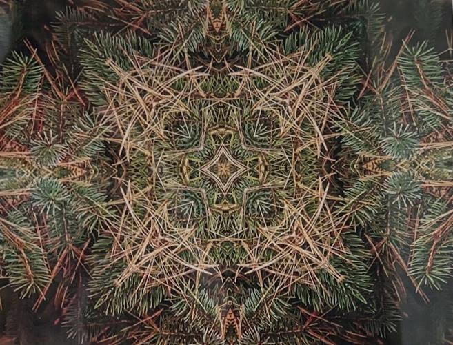 Home, home on the ridge: Blue Hill Public Library to host Art on the ...