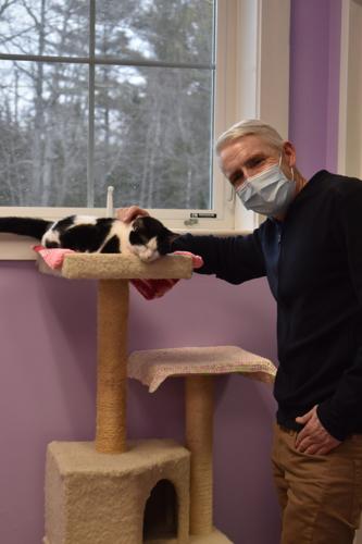 SPCA stays busy in pandemic months | News | ellsworthamerican.com