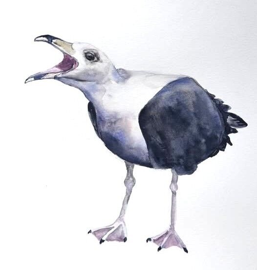 Going coastal: Schoodic Arts for All hosting exhibit of Mary Laury's ...