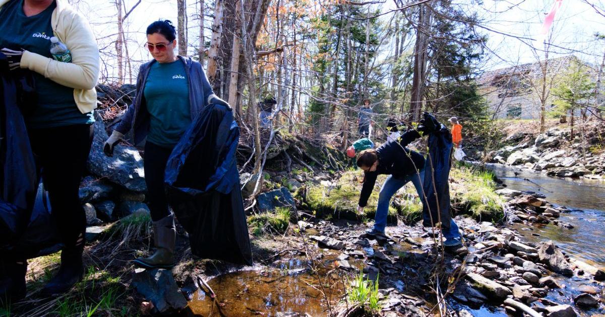 Card Brook Cleanup coming up April 22 | Environment | ellsworthamerican.com