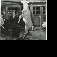 The legendary Hinckley buck | Lifestyle | ellsworthamerican.com