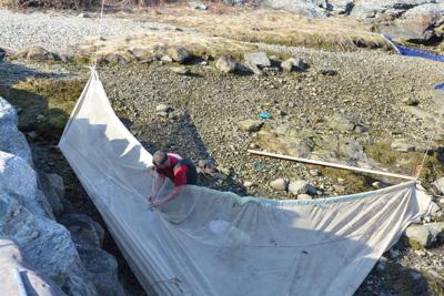 Elver season wraps up | Waterfront | ellsworthamerican.com