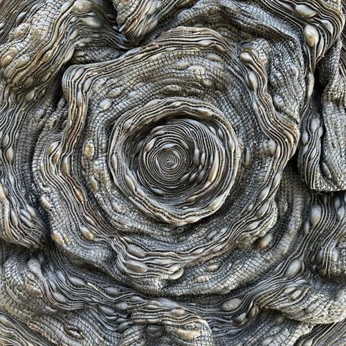 Under the sea: The art of seaweed on display at Blue Hill Co-op for ...