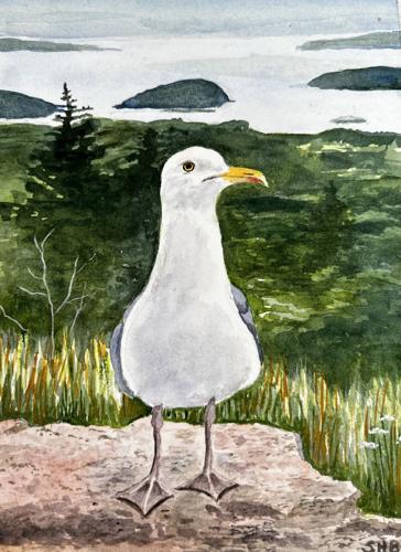 seagull on cadillac - wednesday painters art show | Arts & Living ...