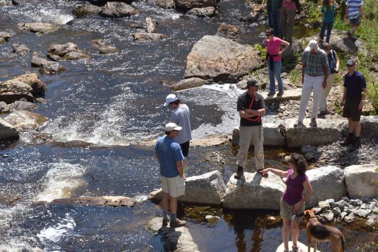 Surry dedicates new alewife ladder in Patten Stream | Environment ...