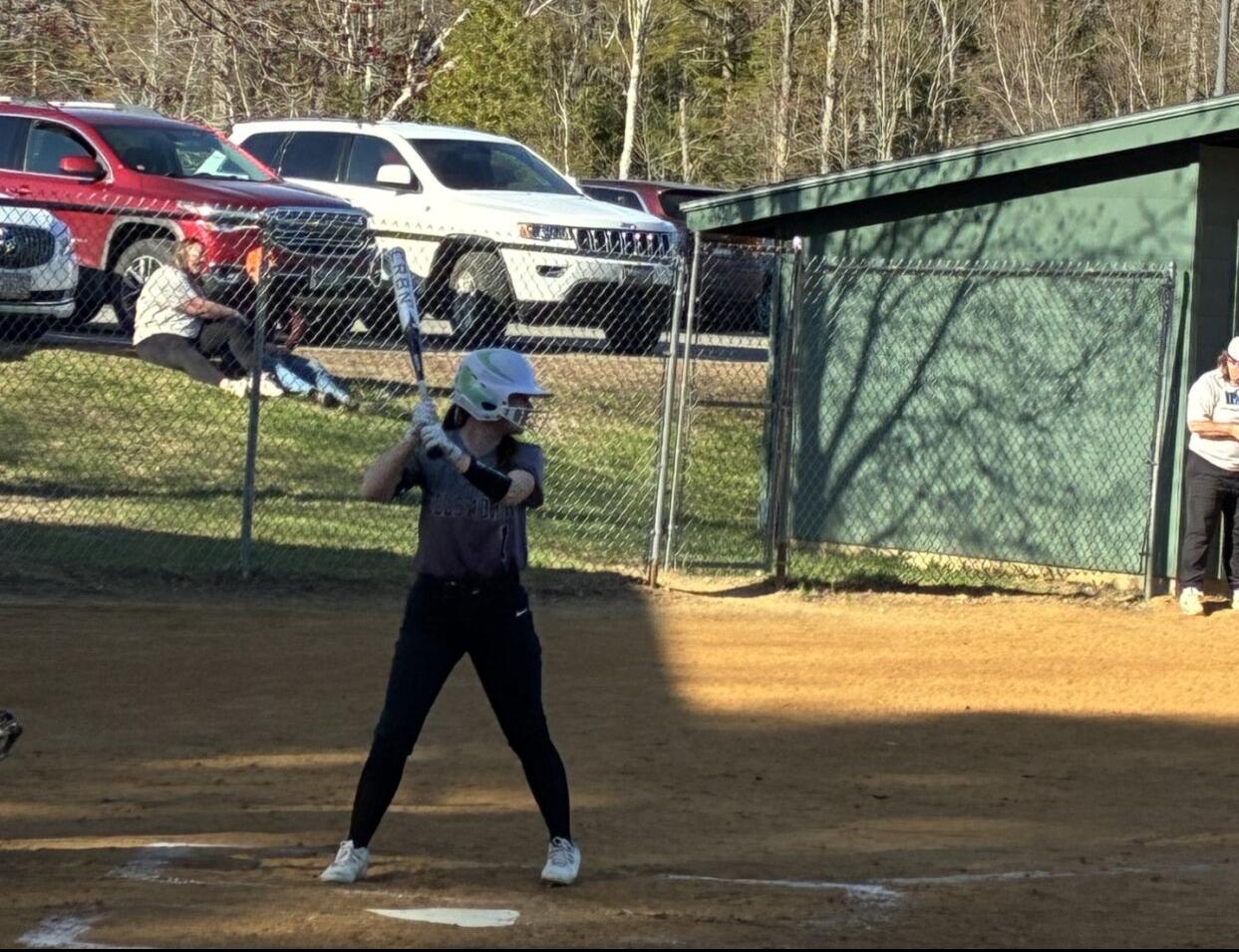 High school softball: Balanced Hawks stymie Ellsworth/GSA | Sports ...