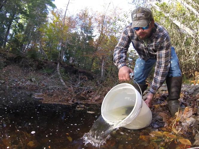 Cherryfield Ice Dam to be removed in favor of 'nature-like' fishway ...