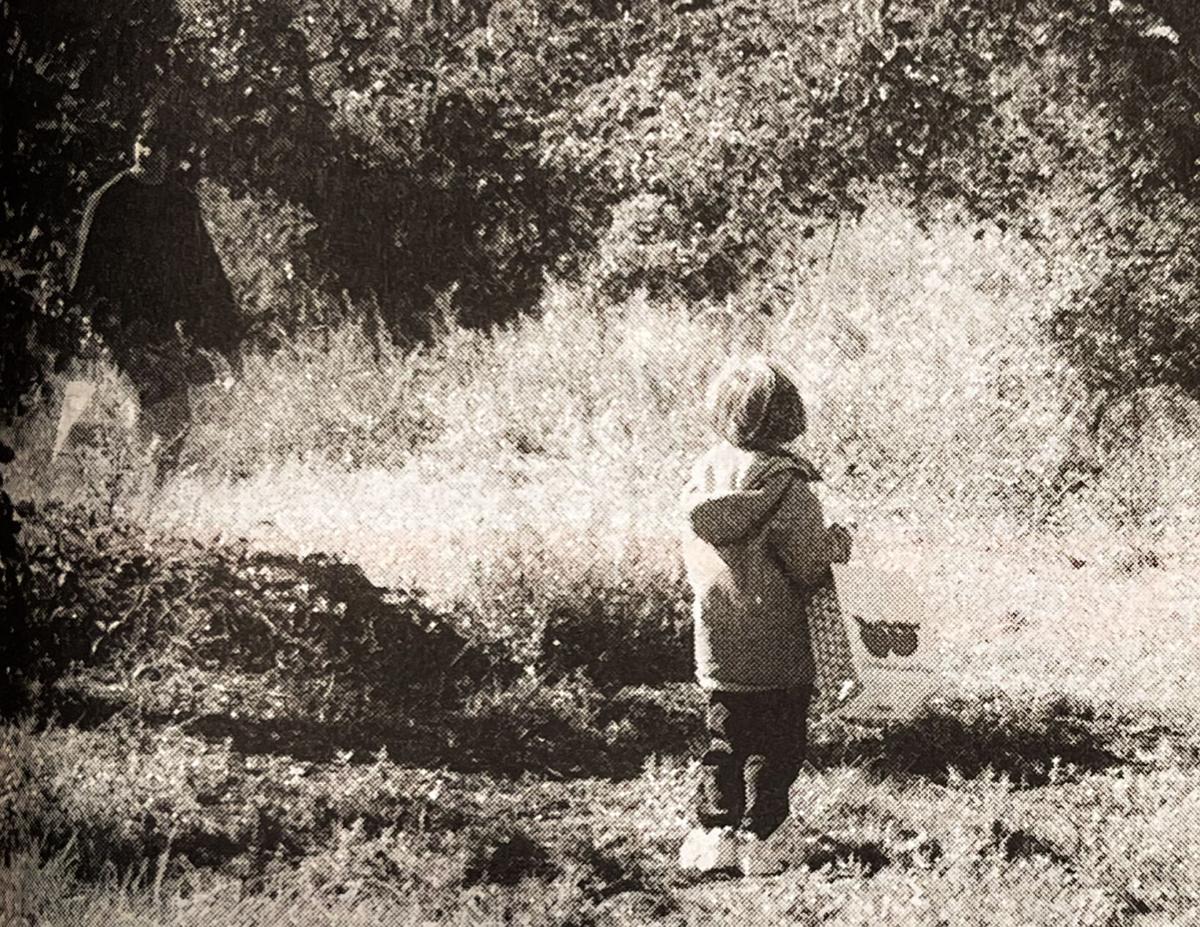 Looking Back week of Sept. 11 | Lifestyle | ellsworthamerican.com