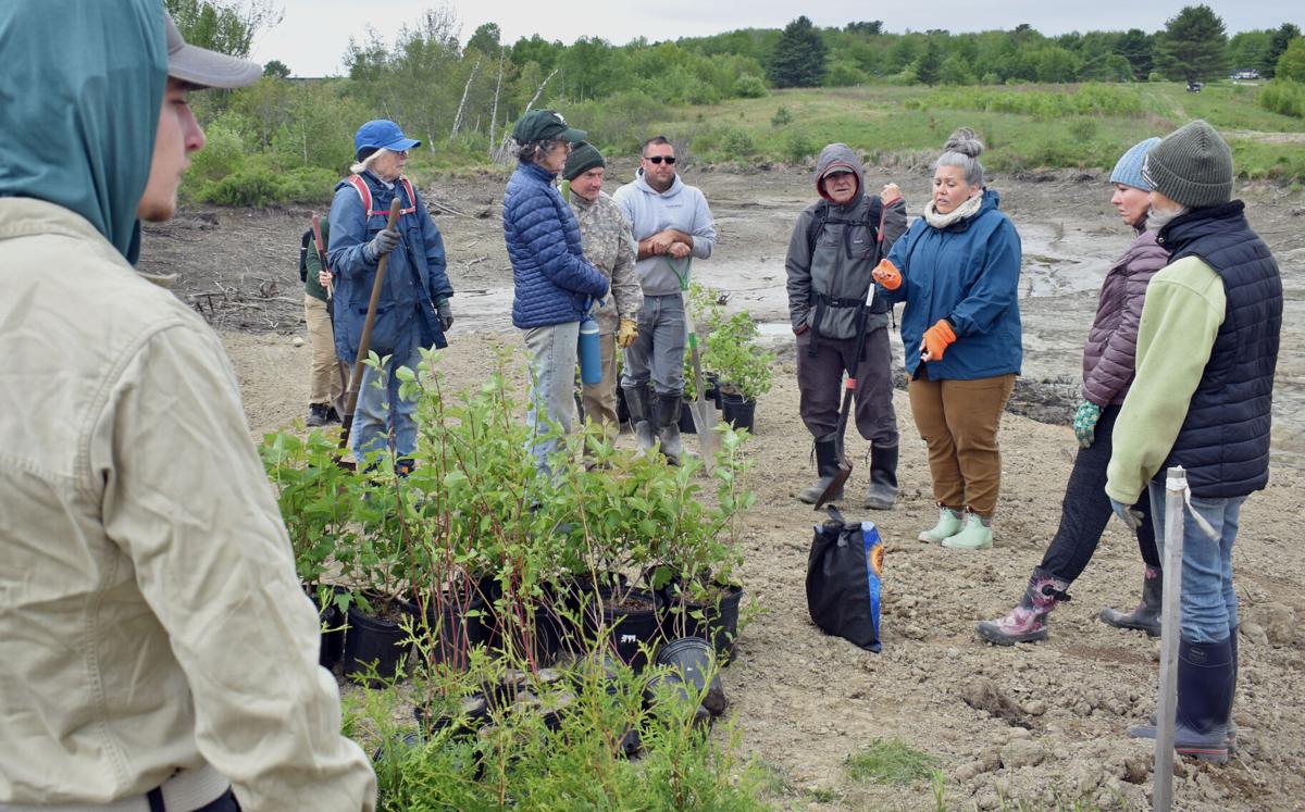 Volunteers brave mud for planting at Trenton preserve | News ...