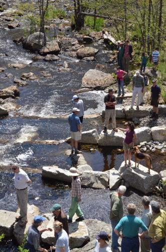 Surry dedicates new alewife ladder in Patten Stream | Environment ...