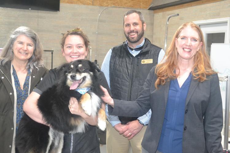 Local business owner named Young Entrepreneur of the Year | Business ...