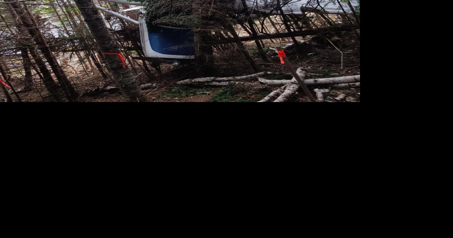 Single-engine plane crashes into trees on Swan's Island | News ...