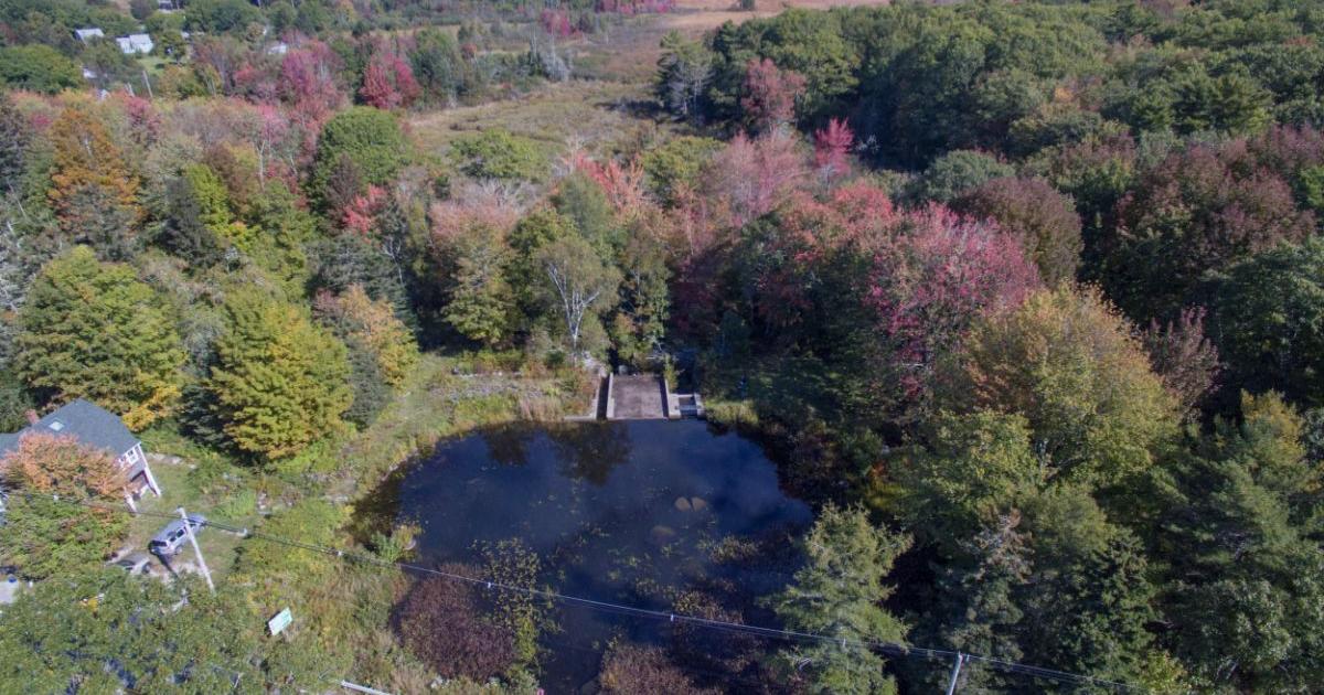 Project aims to restore fish passage to river | Environment ...