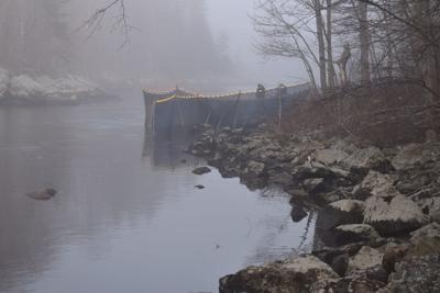 Elver season opens; fishermen hopeful prices will rebound | News ...