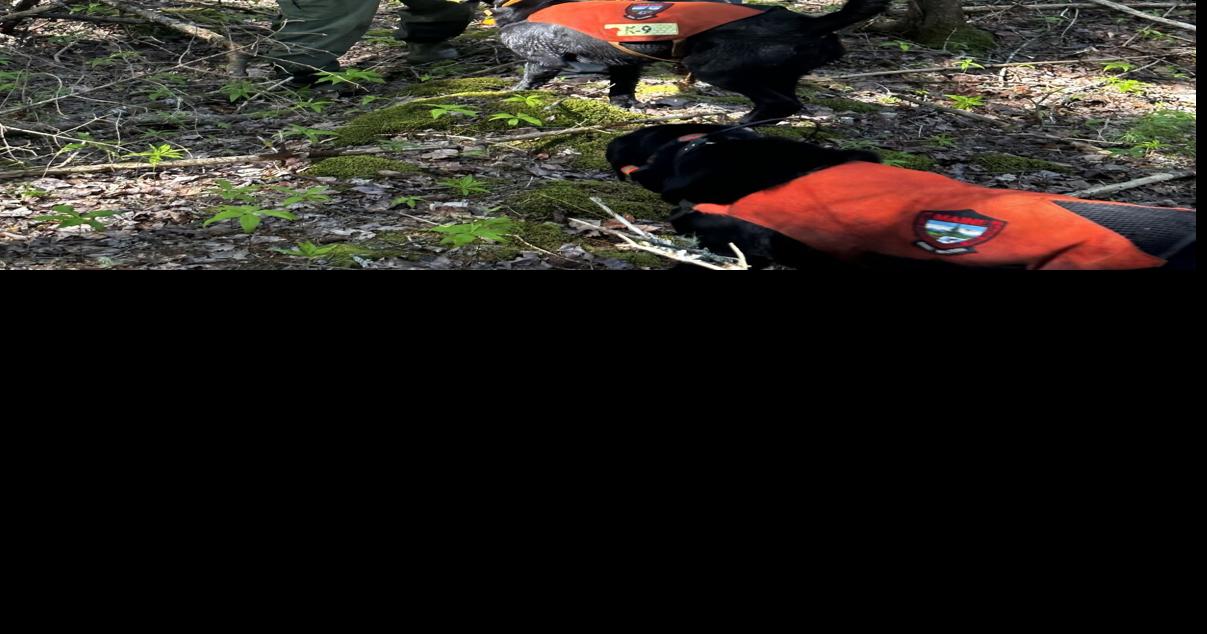 Missing Penobscot woman found after night in woods | Cops & Courts ...