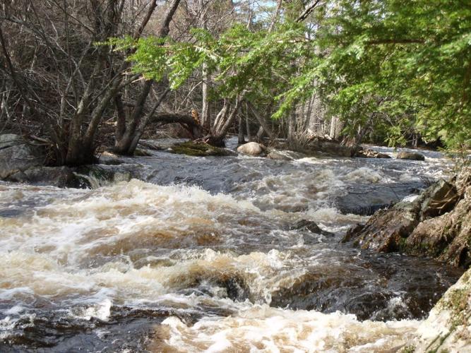 Union River watershed offers whitewater and much more | Arts & Living ...