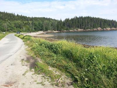 Brooksville’s Bakeman Beach preserved for public use | News ...