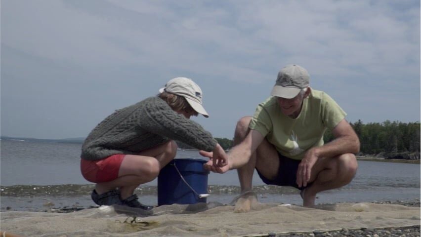 Maine filmmaker goes on tour by sailboat | Waterfront ...