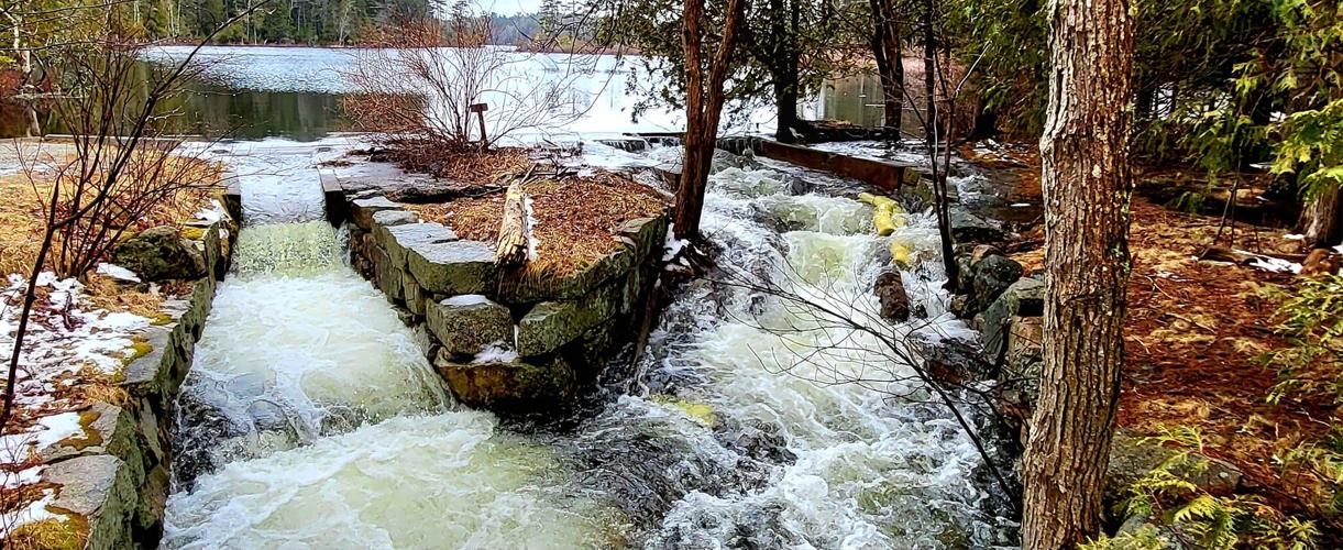 Heavy rains pose hazards for wildlife sanctuary | Waterfront ...