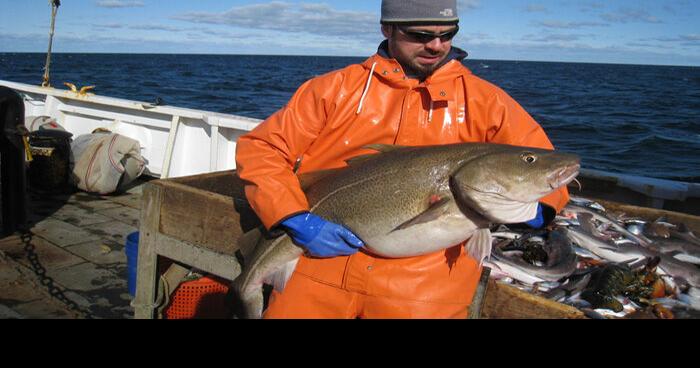NOAA Fisheries releases national seafood strategy | Waterfront ...