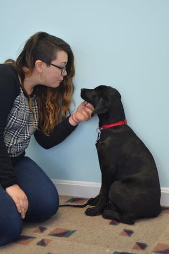 Deciphering your dog’s mind | Arts & Living | ellsworthamerican.com