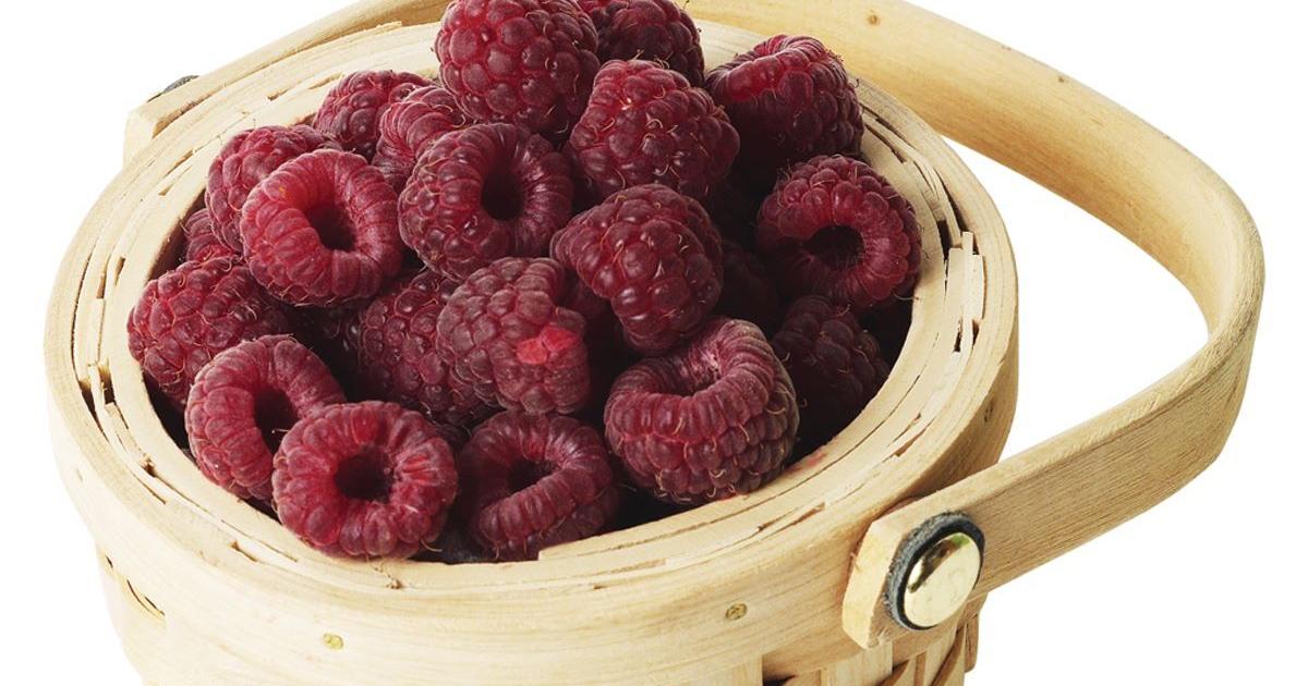 How to grow organic fruit crops | Home & Garden | ellsworthamerican.com