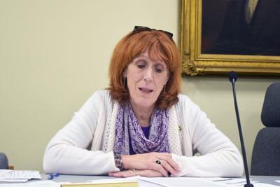 Bucksport town manager appointed to state environmental protection ...