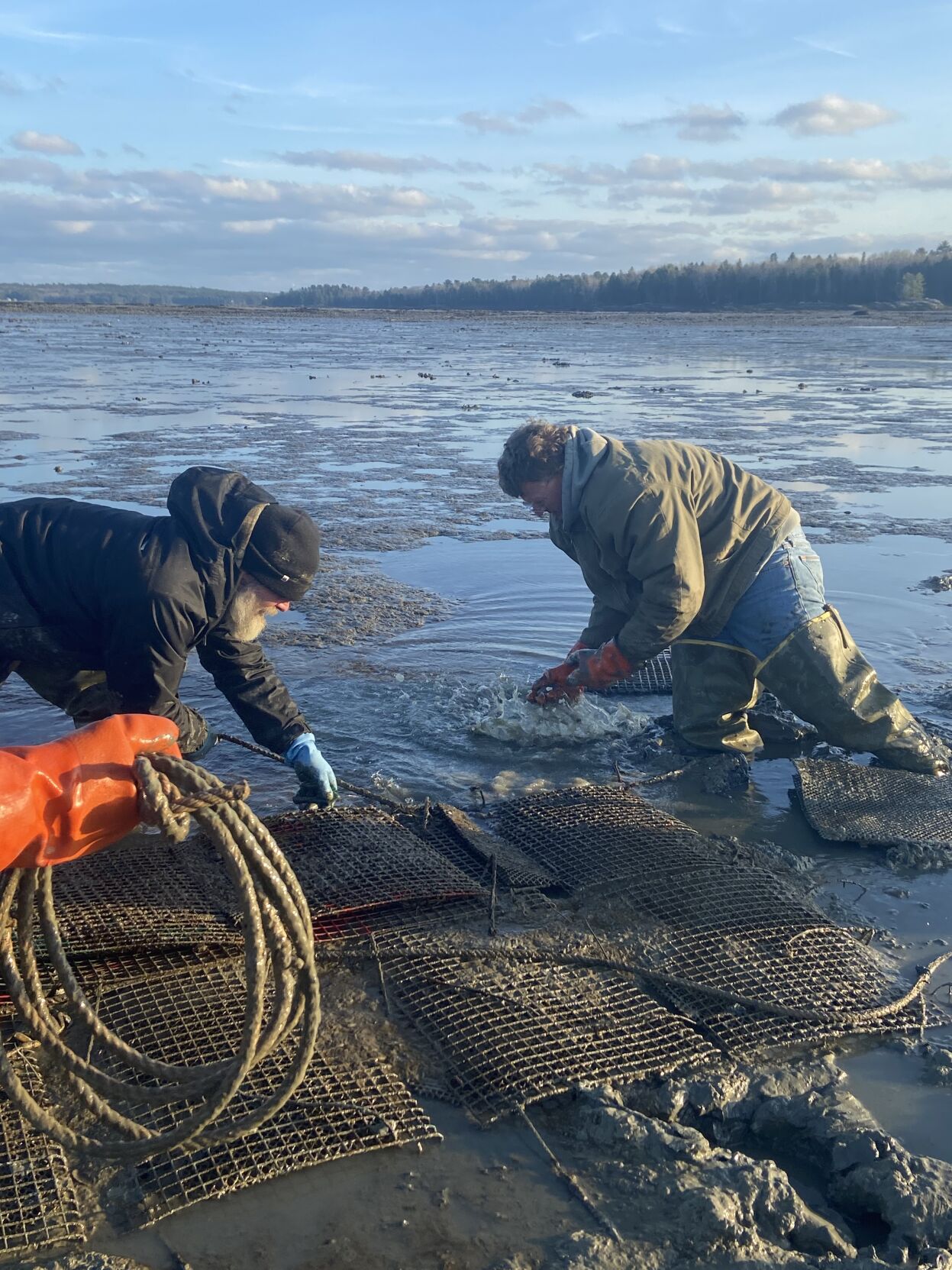 Diggers try new way to protect, grow resource | Waterfront ...