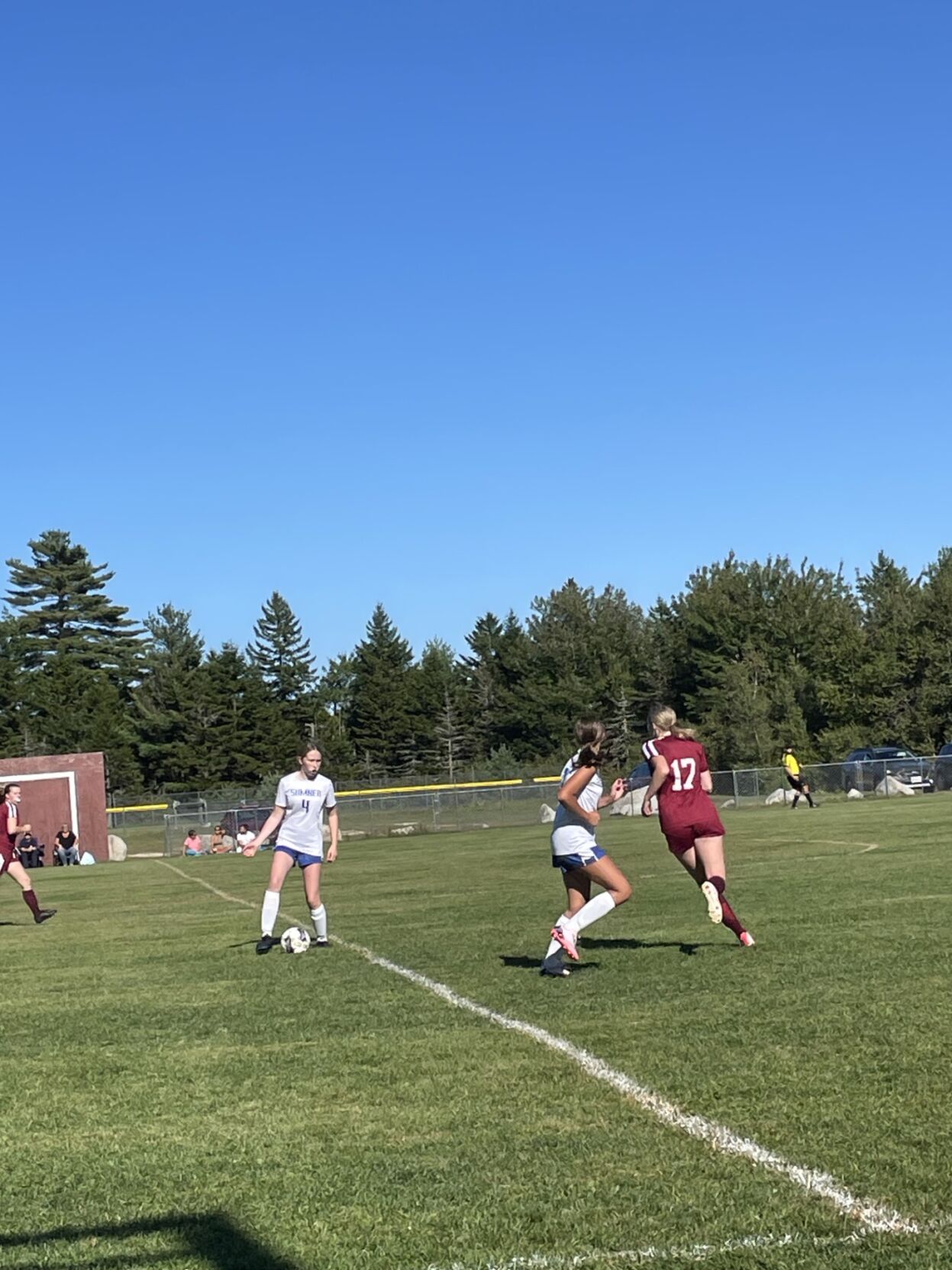 High school soccer: GSA, Sumner girls enthusiastic about foray into ...