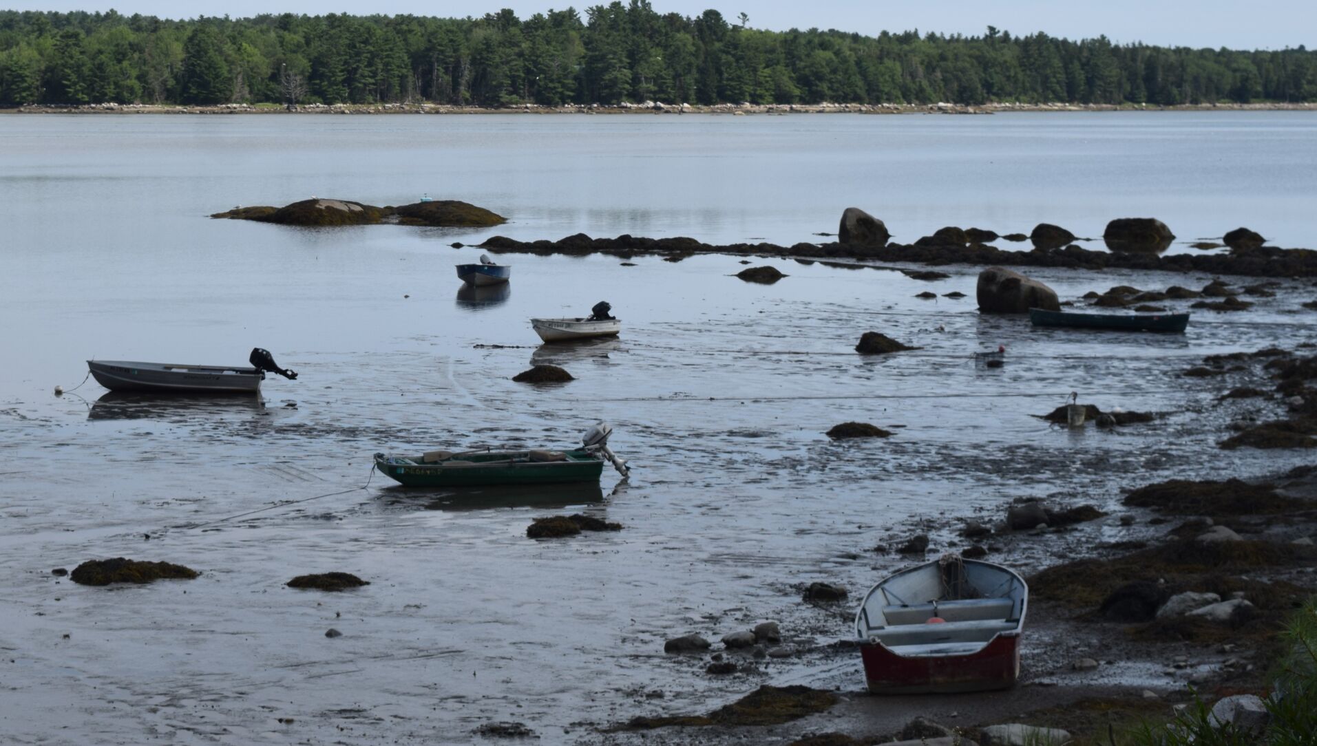On the flats of Frenchman Bay, clammers dig deep | Waterfront ...