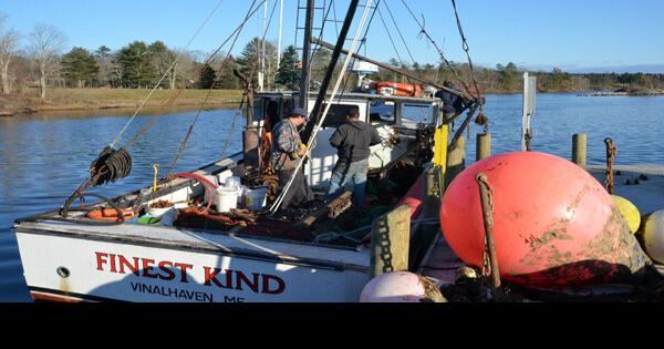 New Maine Scallop Season Will Test Fishermen | Waterfront ...