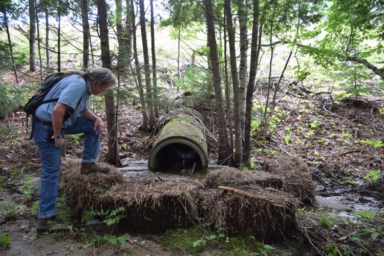 Residents raise alarm over stormwater runoff | Waterfront ...