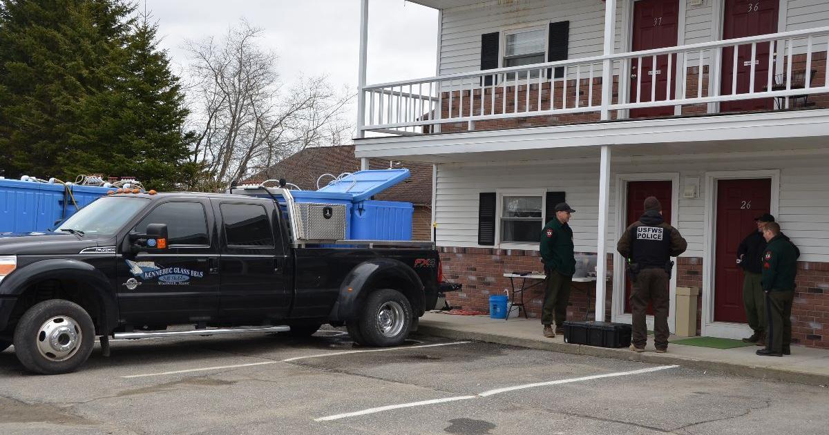 Elver dealer may face federal charges for buying illegal eels | News ...