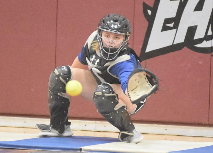 New head coach brings program-building vision to Ellsworth softball ...