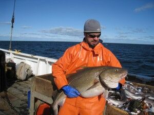 Minimum size increase proposed for haddock, cod recreational fishery ...