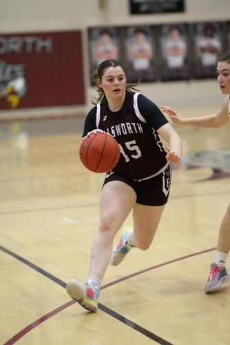 Ellsworth powerhouse trio among girls' Hancock County All-star ...