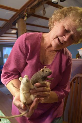 Cathy Bell Clark captures animals in action in wool | Arts & Living ...