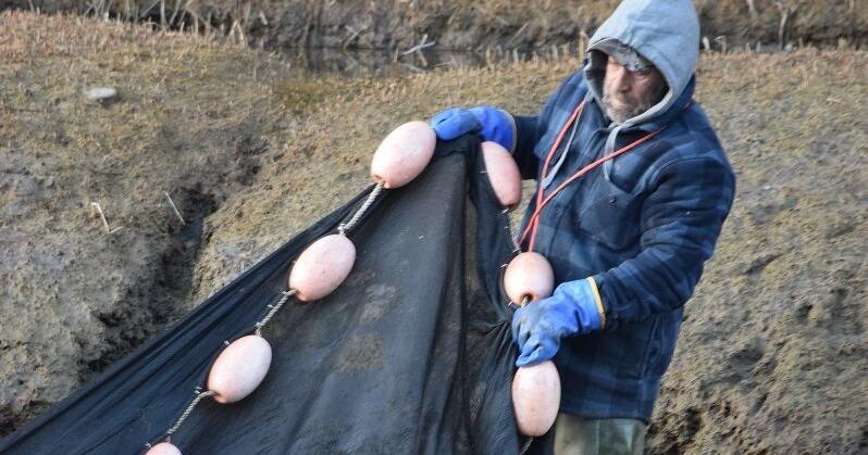 Elver season is around the corner | Waterfront | ellsworthamerican.com