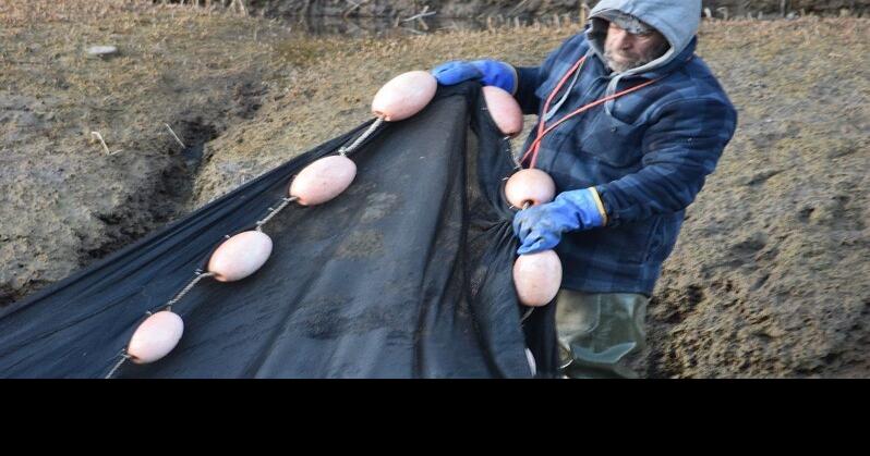 Elver season is around the corner | Waterfront | ellsworthamerican.com