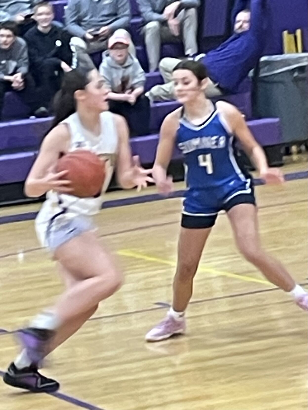 Girls basketball notebook: Local teams in championship chase as regular ...