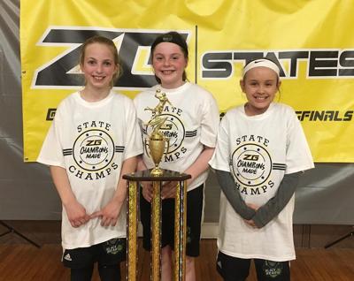 zero gravity basketball logo