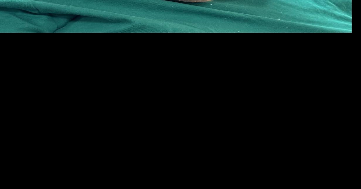 Carol Ann Farley Murgia | Obituaries | ellsworthamerican.com