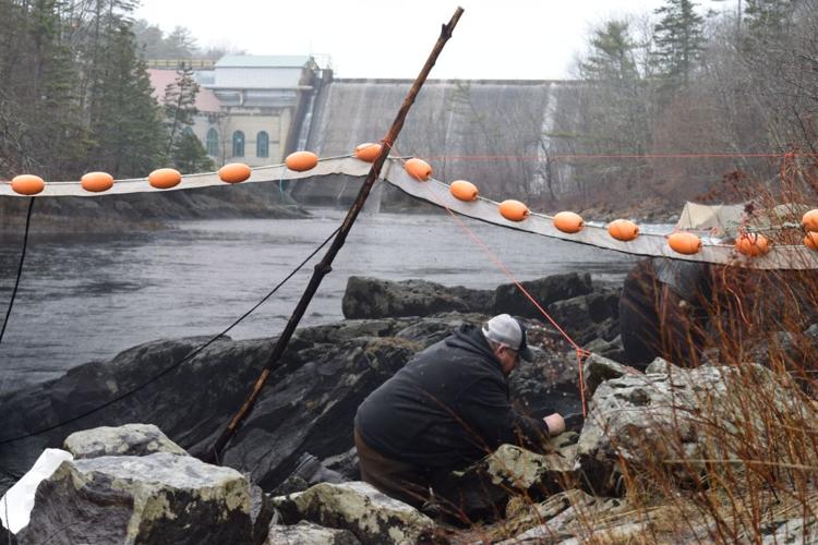 Go with the flow: Ellsworth Public Library exhibit and events take a ...