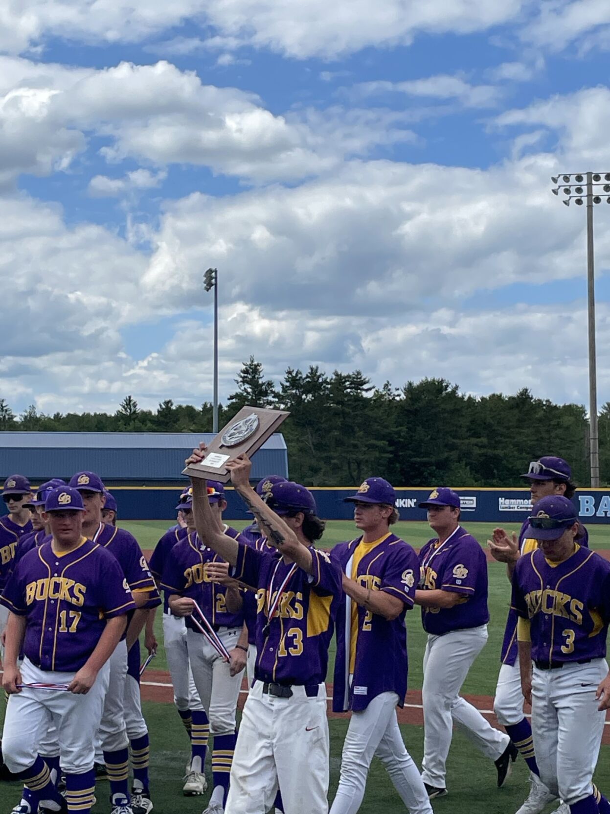 High school baseball: Sacopee Valley trips up Bucksport to win Class C ...