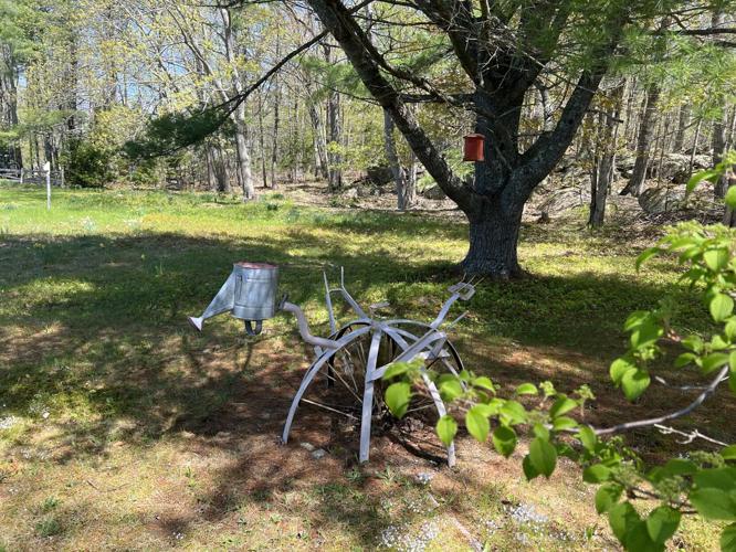 'Blooms for Books' garden tour to benefit Buck Memorial Library June 14 ...