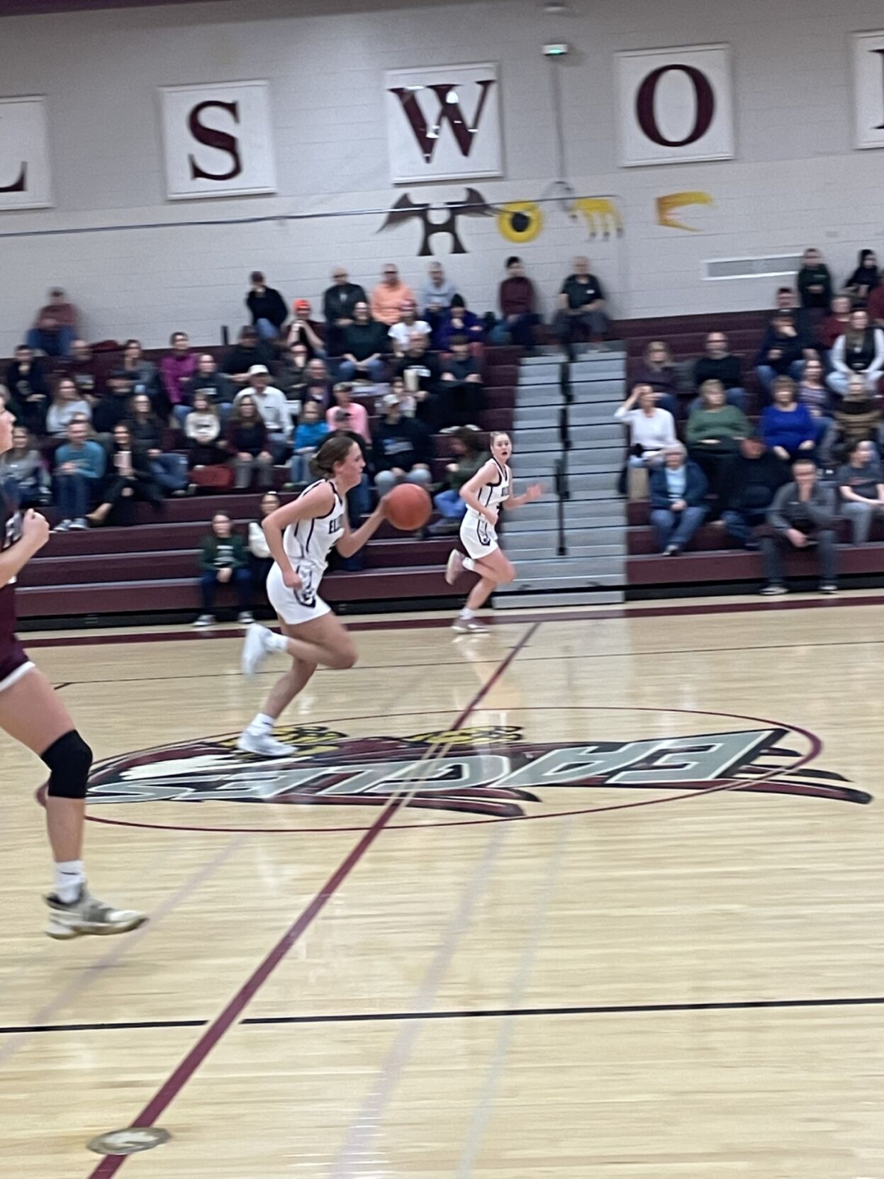 Strong second half defensively helps Ellsworth girls corral Ponies ...